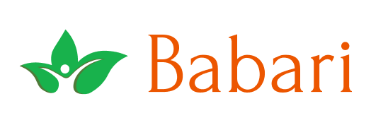 Babari Cuisine | Order Food Online